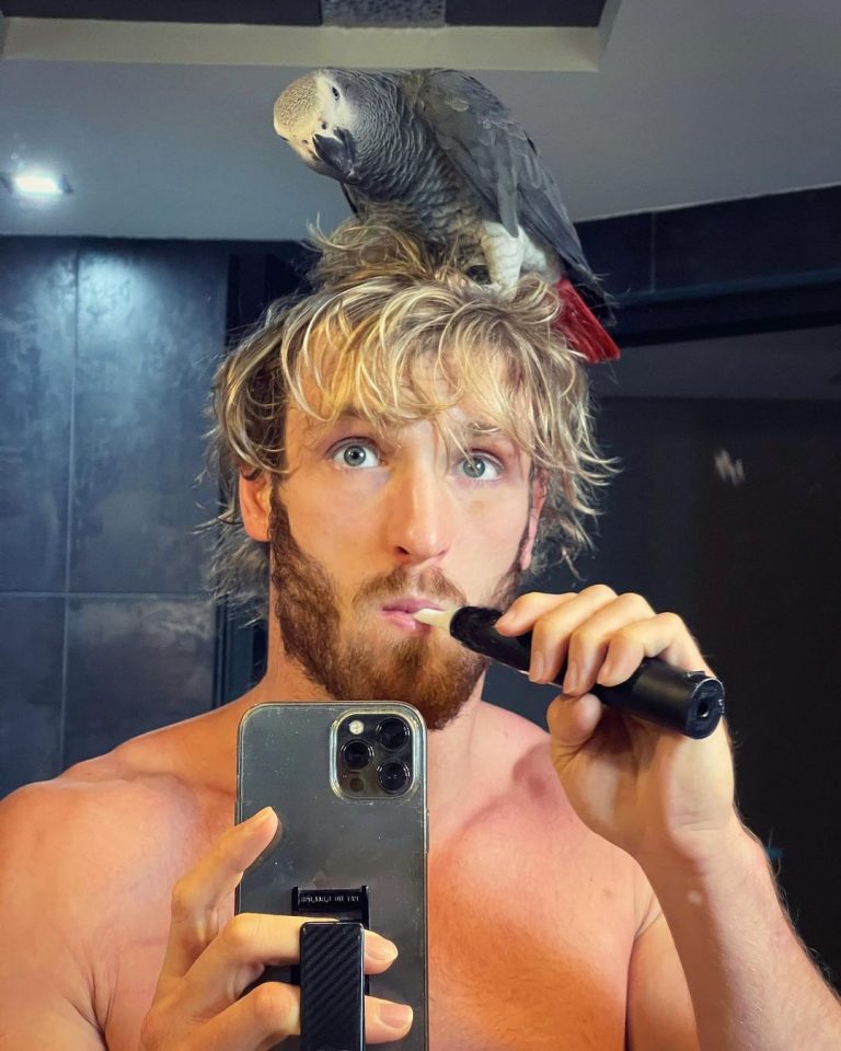 Logan Paul - Biography, Height & Life Story - LyricsAndBio